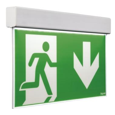 Beghelli - 4320 - Exit Df20M Sa 1/2/3H Rm | Spesa Elettrica